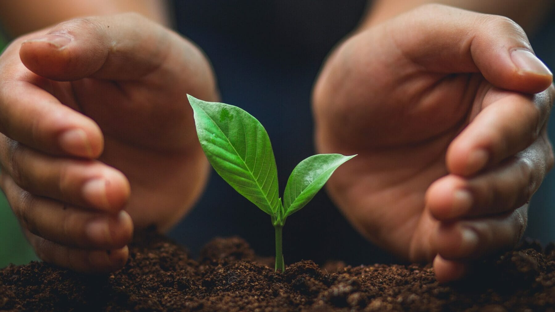 Policy Establishment & Development In Singapore - GreenCo ESG Advisory ...