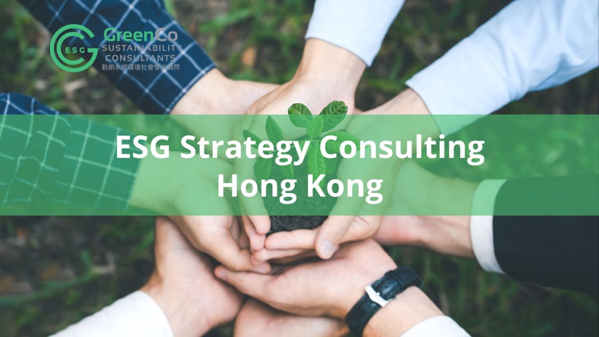 Expert ESG Strategy Consulting In Hong Kong | GreenCo